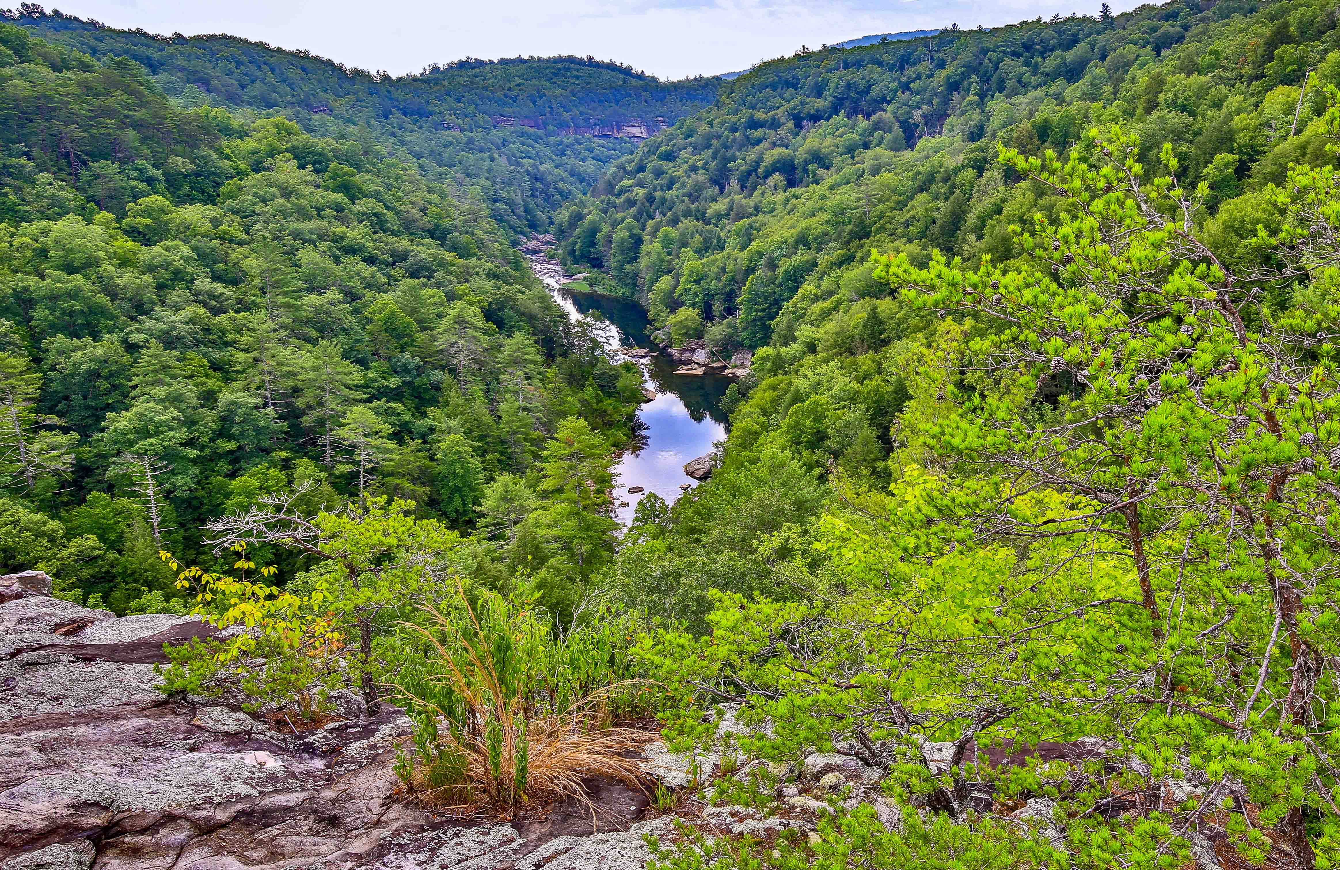 Obed Wild and Scenic National River Area – Nspired Adventures