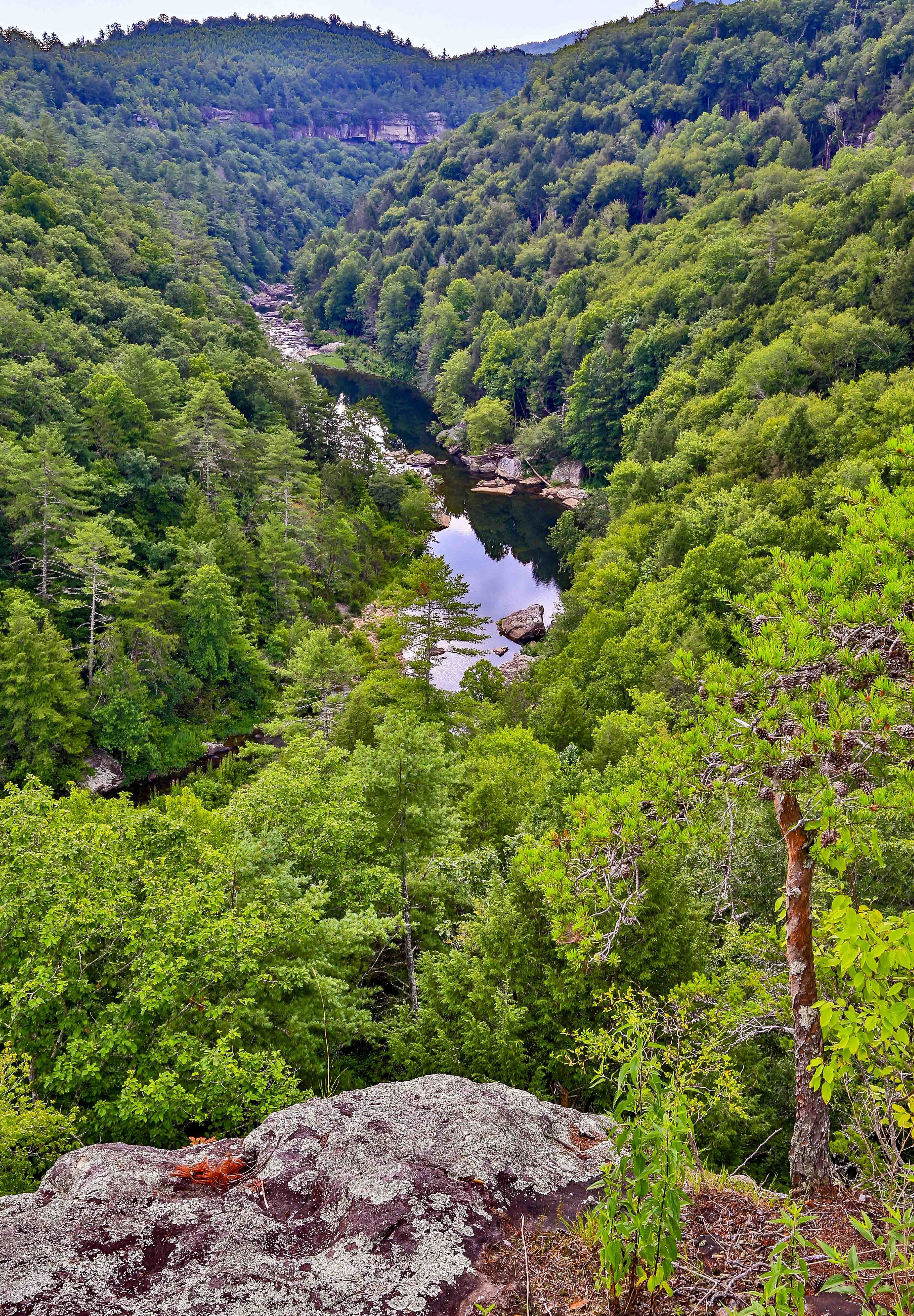 Obed Wild and Scenic National River Area – Nspired Adventures