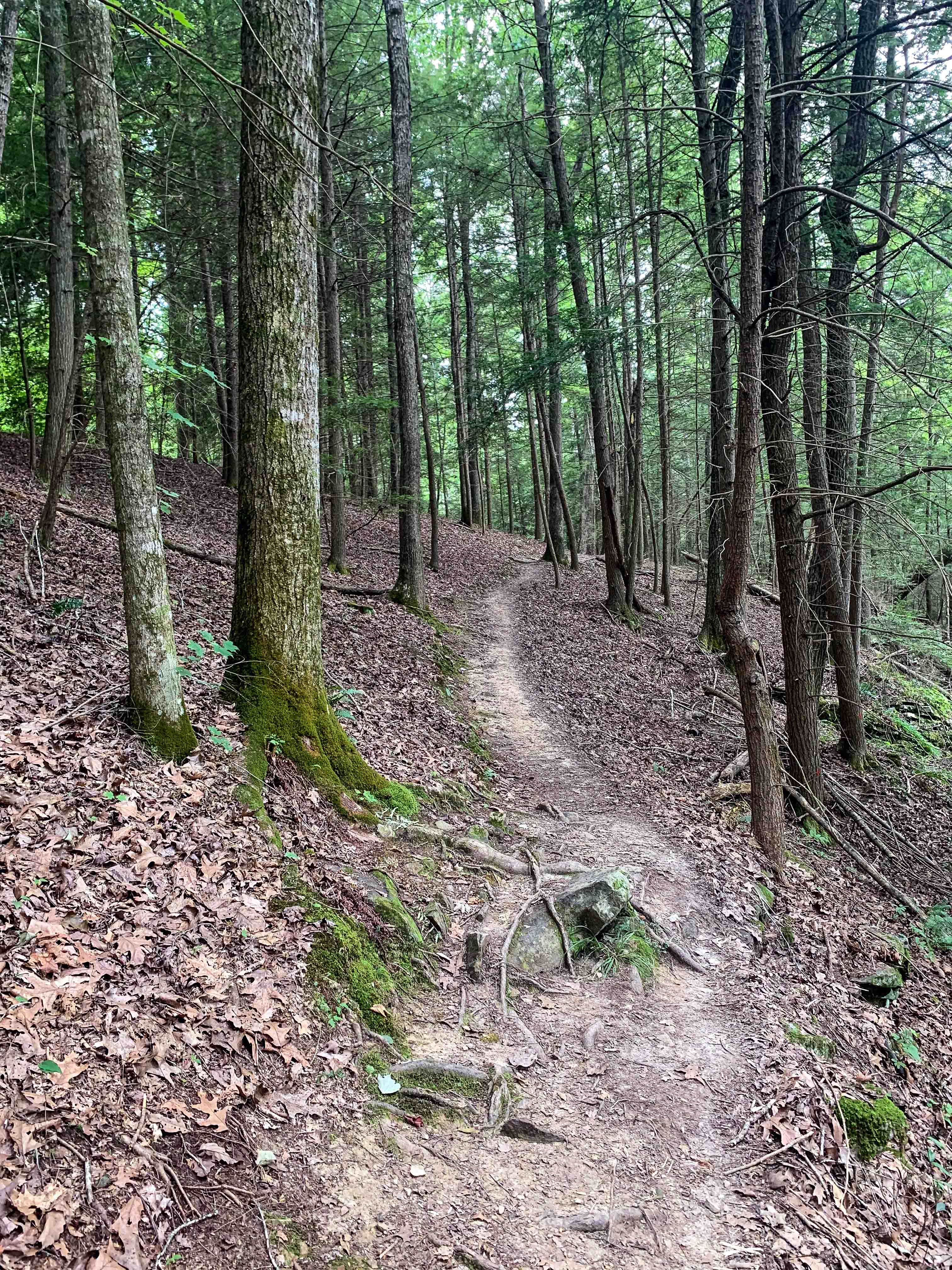 Obed Wild and Scenic National River Area – Nspired Adventures